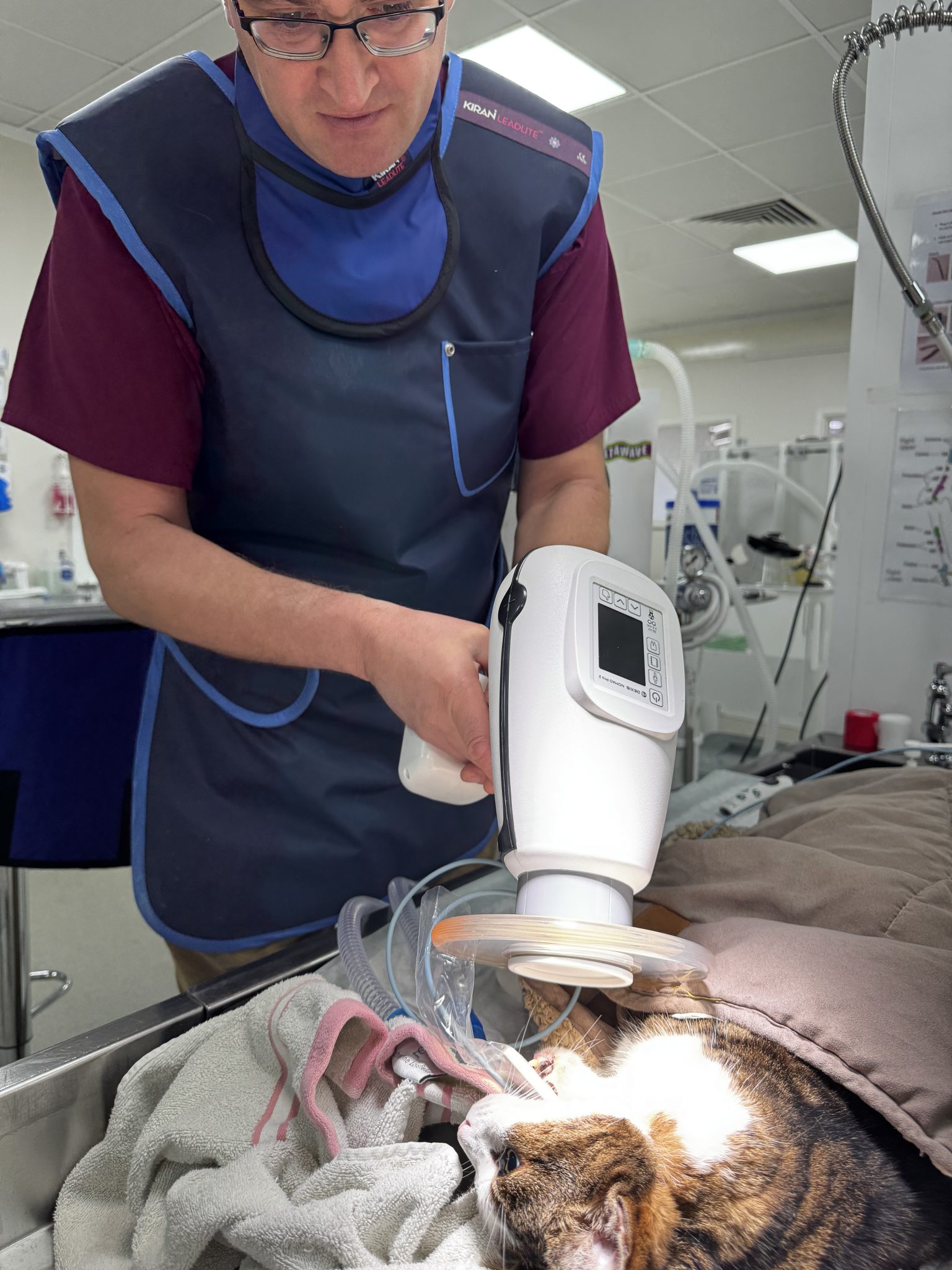 Dental Radiography – Swaffham Veterinary Centre